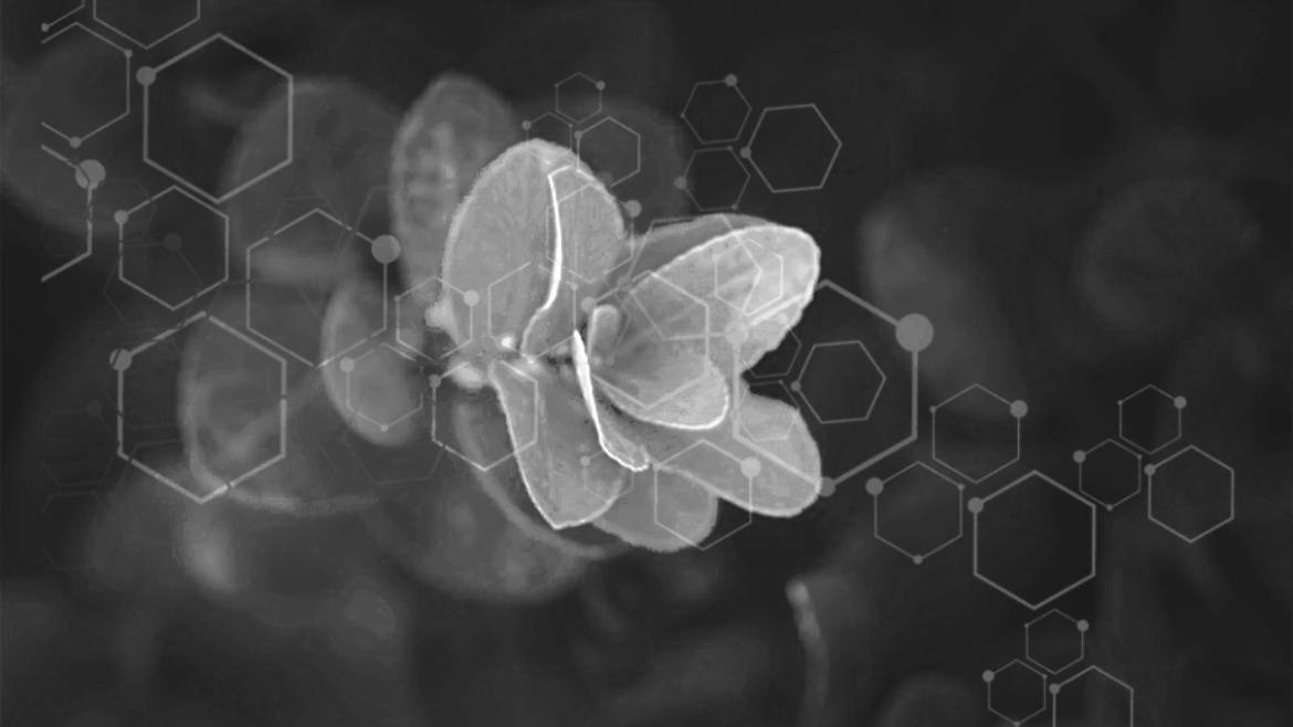 Biotechnology in cosmetics: an effective alliance between science and ...