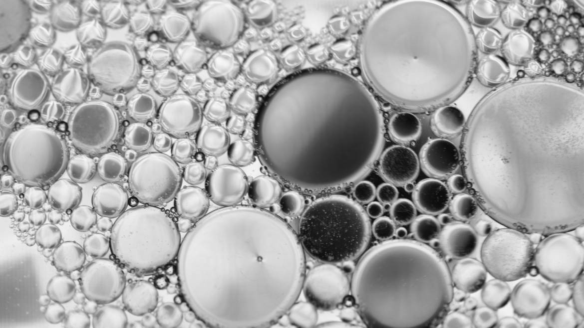 The Skin Flora : A Crucial Ecosystem for Skin Health - EH BIOSCIENCE SARL