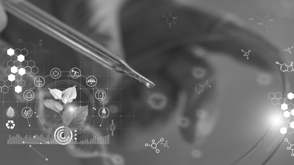 Neurocosmetics: Harnessing the Skin-Brain Connection for Enhanced Skin ...